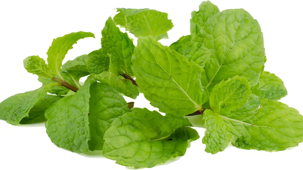 Hierbabuena manojo 150g aprox. – Mi Pedido Verde