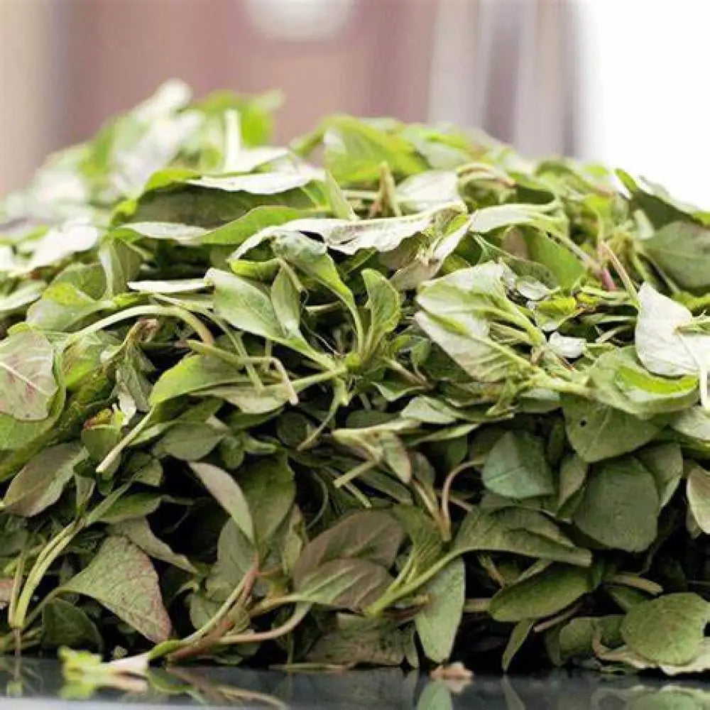 Quelite quintonil manojo 150g aprox. mercadito orgánico – Mi Pedido Verde